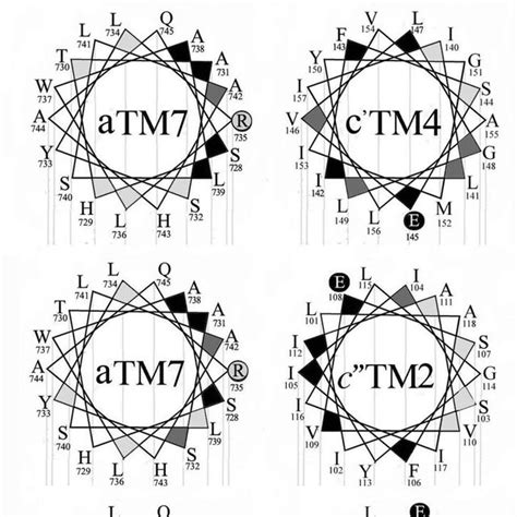 Comparison Of The Crosslinkable Surfaces Of Subunit A And The