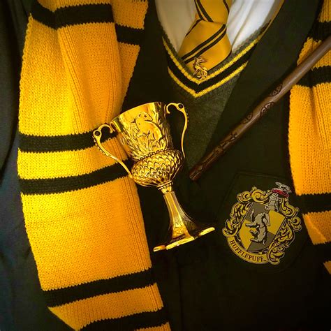 후플푸프의 잔💛 콜리 Colley