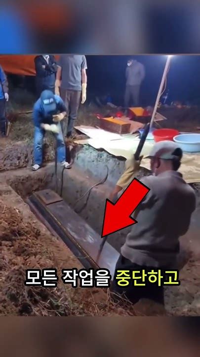 고대 무덤을 절대 열지 마세요 이런 일이 벌어집니다 😱💀 Youtube