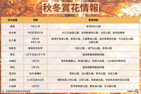 賞花情報｜香港一年四季常見植物花期＋觀賞地點一覽 12 04 20230311 熱點 即時新聞 明報新聞網