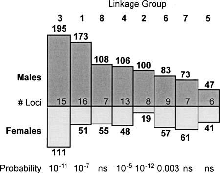 Relative Sex Specific Linkage Group Sizes Of M Download Scientific Diagram