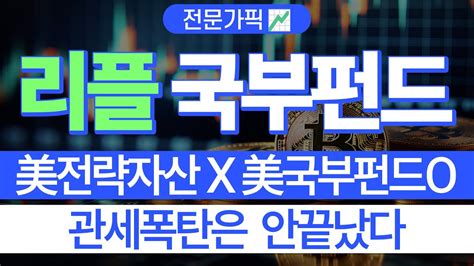 리플 🔥전략자산 탈락 하지만 국부펀드 그리고 관세 포탁은 안끝났습니다🔥 리플 리플전망 암호화폐 비트코인 비트코인전망