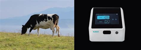 What Is Somatic Cell Count And Why Does It Matter In Dairy Farming Scct