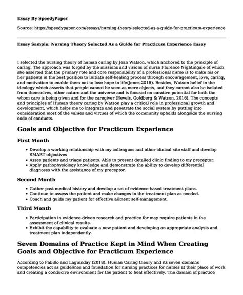 📚 Essay Sample Nursing Theory Selected As A Guide For Practicum