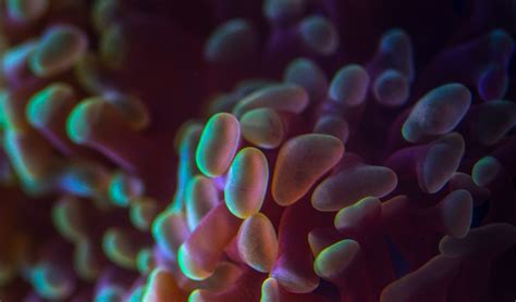 Intellectual Property And Innovation Management Questel