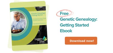 Relationship Terminology How Are We Related Legacy Tree