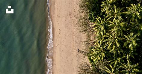 야자수가 있는 모래 해변의 조감도 사진 Unsplash의 무료 오스트레일리아 이미지