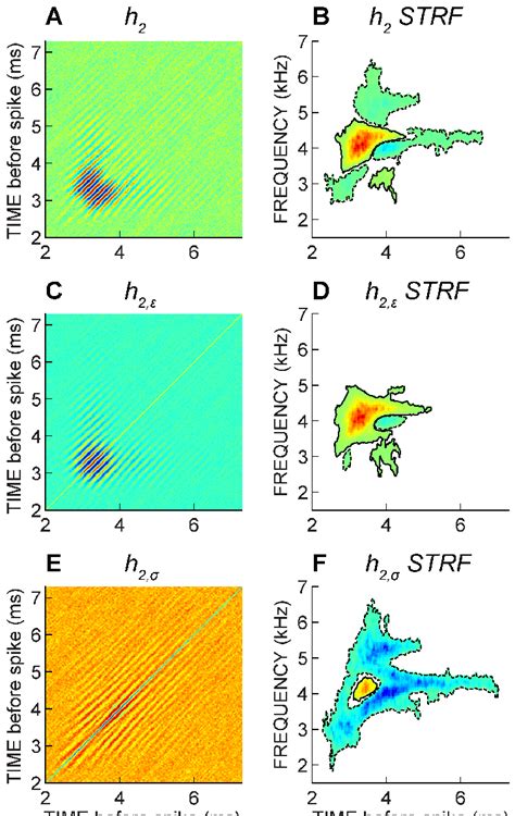 Second Order Wiener Kernel Excitatory And Suppressive Sub Kernels And