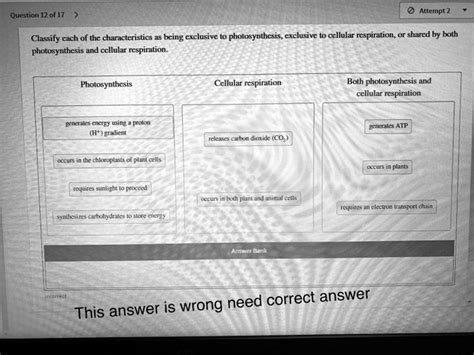 attempt question 12 of 17 classify cach of thc characteristics being