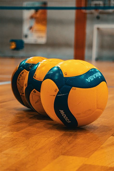 무료 이미지 자연스러운 배구 볼 게임 스포츠 장비 Water Polo Ball Net Sport 축구 공 3629x5444 Ghatgptoreator
