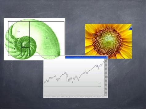 Fibonacci Ppt Games And Puzzles Hobbies And Interests
