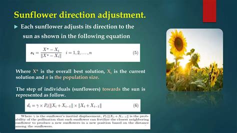 Sunflower Optimization Algorithm Pptx