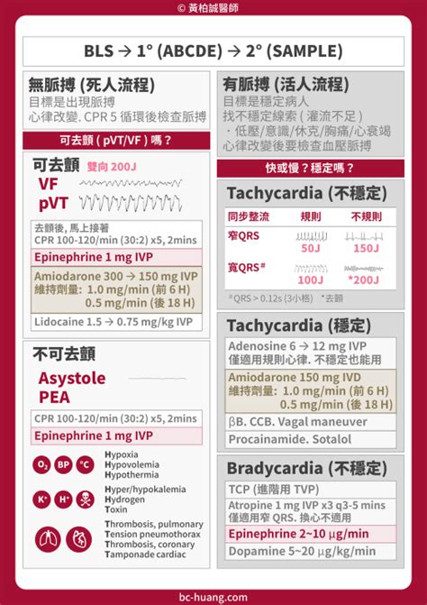 Acls Megacode 流程考題重點 黃柏誠醫師