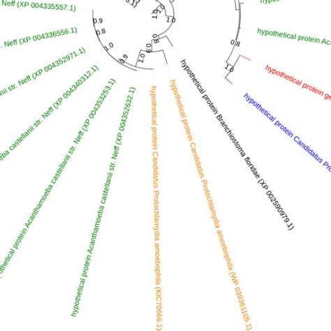 Representation Of Horizontal Transfer Analysis Phylogenetic Tree For