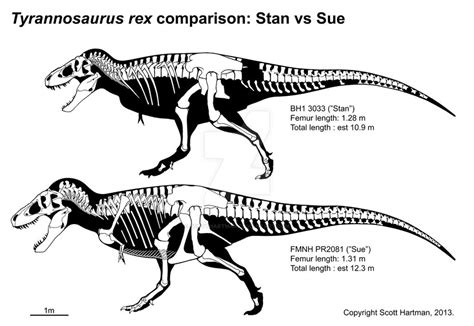 Talk Tyrannosaurus Wikipedia