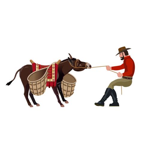 130 Stubborn Mule Cartoons Stock Illustrations Royalty Free Vector Graphics And Clip Art Istock