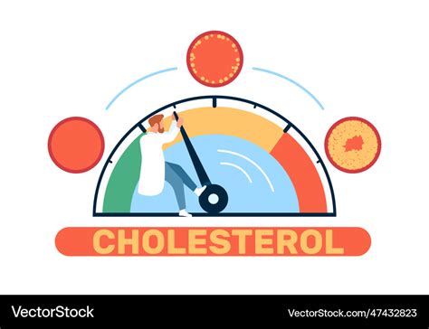 Cholesterol Management Health Monitoring Vector Image