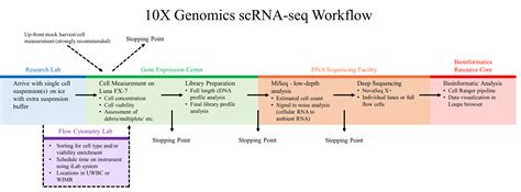 Guide To Getting Started With 10x Genomics Single Cell Rna Seq Biotechnology Center Uw Madison