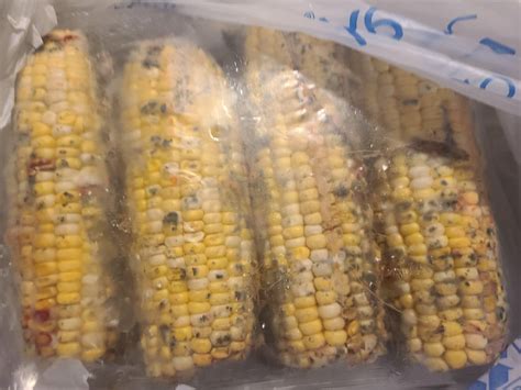 Im Assuming It Mold Anyone Wannt Some Moldy Corn Rmoldlyinteresting