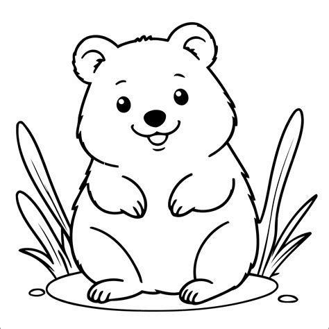 유아를 위한 귀여운 쿼카 색칠 공부 페이지 프리미엄 벡터