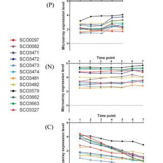 Microarray Expression Data For Expression Category II Genes Averaged Download Scientific