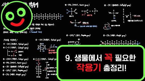 생물 공부에 꼭 필요한 작용기 총정리 히드록실기 케톤기 카복실기 아미노기 알데히드기 인산기 메틸기 설프히드릴기 L 캠벨 생명과학 61p~65p Youtube