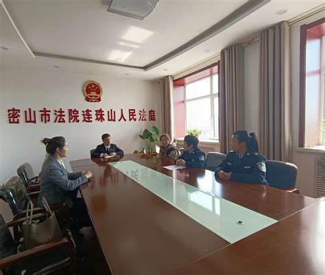 连珠山法庭组织未成年人帮扶教导员进行经验交流澎湃号·政务澎湃新闻 The Paper