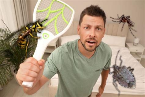 Dont Hesitate To Kill These Bugs If Spotted In Texas