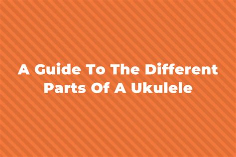 The Different Parts Of The Ukulele Anatomy And Structure