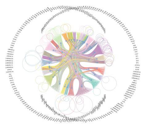 Visualization Circular Layout With Edge Bundling And Labels In Graph