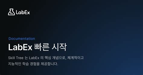 Labex 빠른 시작 Labex Support