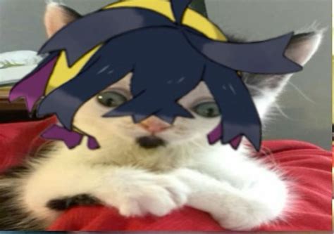 39 Idées De Kassis Pokémon Pokemon Personnage Gijinka Pokemon