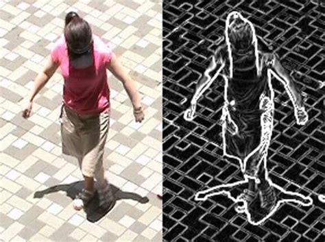 Scenes Of Three Testing Sequences Download Scientific Diagram