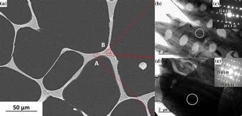 Sem Morphology Of The Mg 3wt Zn 1wt Ca 0 5wt Sr Alloy After Download Scientific Diagram