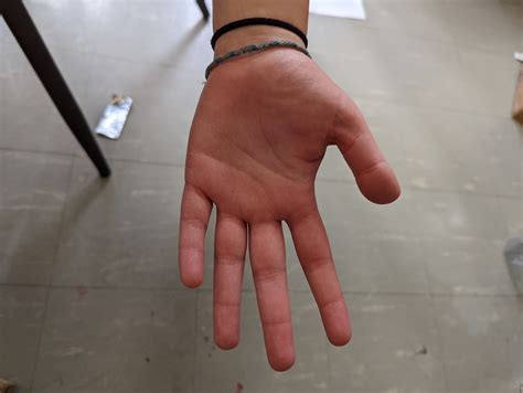 Handtest1 Object Detection Dataset V5 5 By Hand