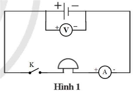 Giải Bài Tập Sách Giáo Khoa Bài Tập Chủ đề 5 Khoa Học Tự Nhiên 8