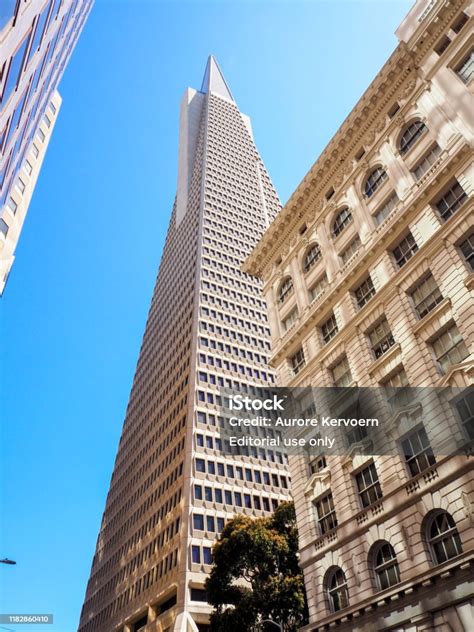 미국 트랜스아메리카 피라미드 타워가 있는 샌프란시스코 금융 지구 거리에 대한 스톡 사진 및 기타 이미지 거리 건물 외관 건물 정면 Istock