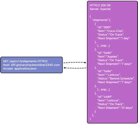 API Hacking Exploring Web Vulnerabilities Under The Hood Risk Sixty