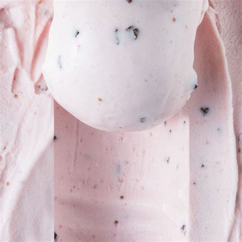 Strawberry Cacao Nibs Muted Gelato