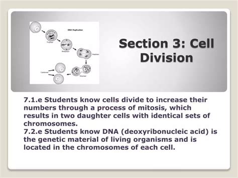 PPT Understanding Cell Division Mitosis And DNA Replication PowerPoint Presentation ID 6834376