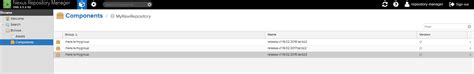 Java Nexus Repository Manager Removing Old Binary Resources Stack