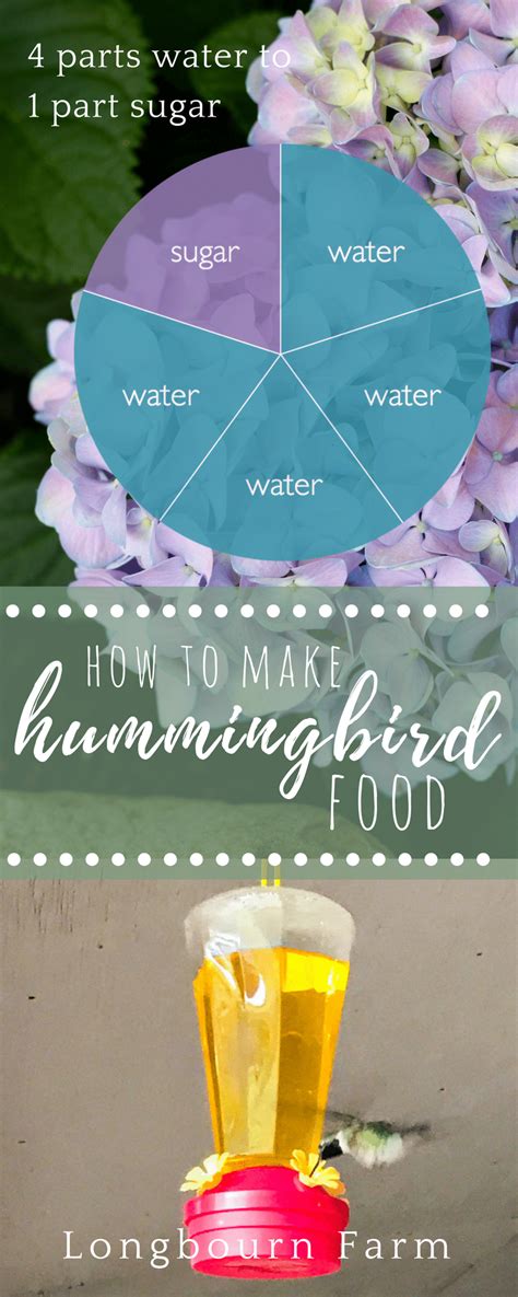 How To Make Hummingbird Food Artofit