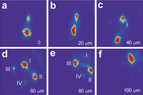 Laue Diffraction 022 Peak Shape Snapshot Along The Vertical Brown Arrow