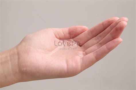 손 사진 무료 다운로드 Lovepik