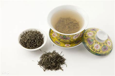 安吉白茶的功效與作用入門篇 每日頭條
