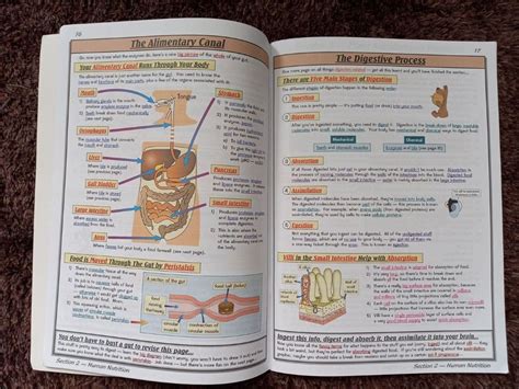 Edexcel Certificate International Igcse Biology Revision Guide Summary Hobbies And Toys Books