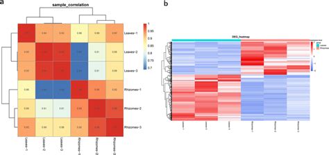 A Schematic Diagram Of The Correlation Between Samples And B
