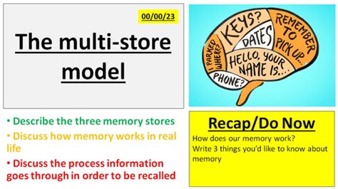 The Multi Store Model Aqa A Level Psychology Memory Teaching Resources
