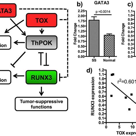 Additional Members Of The Tox Runx3 Pathway Are Dysgregulated A The