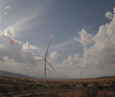 Bird Detection System Precision And Cost Effectiveness Openv4